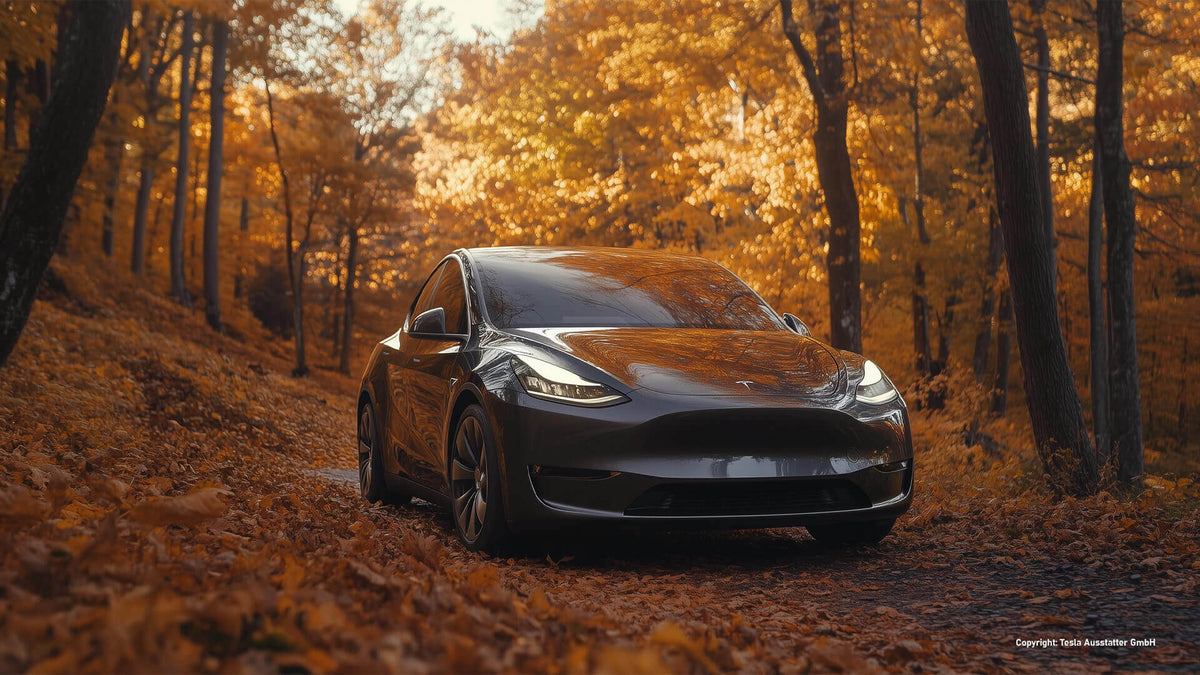 Tesla Tips for the Autumn season – Tesla Ausstatter